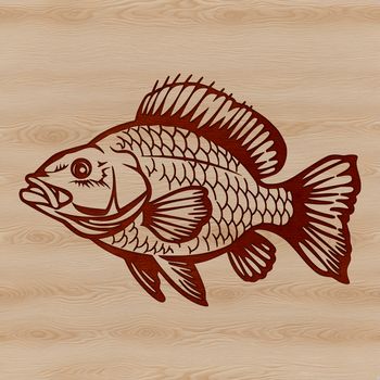Beautiful Crappie Clip Art for Free Download - SVG and PNG Vector Graphics